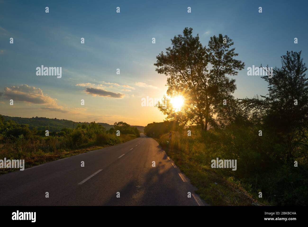 Sunset Road Tree Background. Summer sunset over the rural road. Sun ...