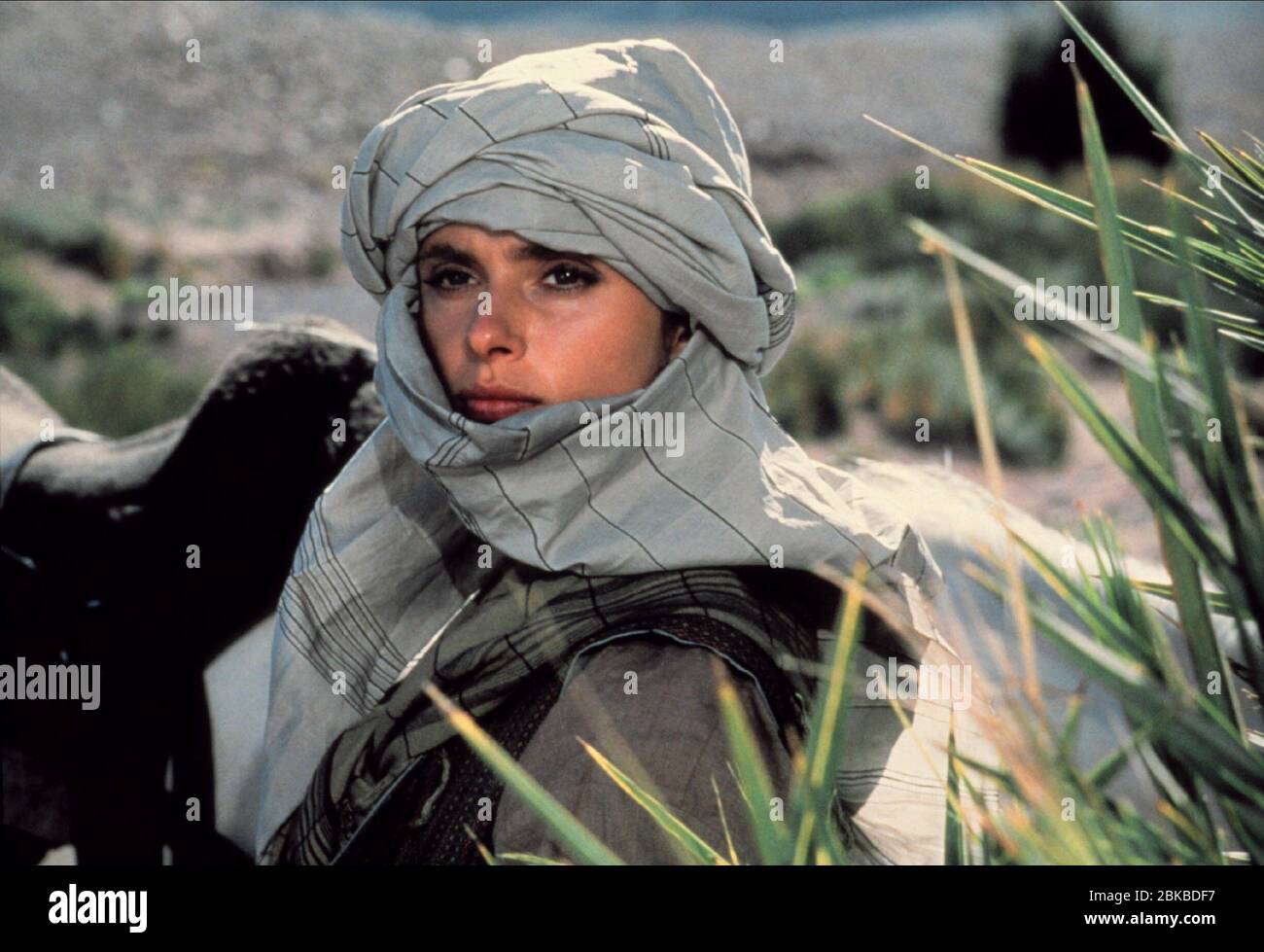 Maryam Dabo High Resolution Stock Photography and Images - Alamy