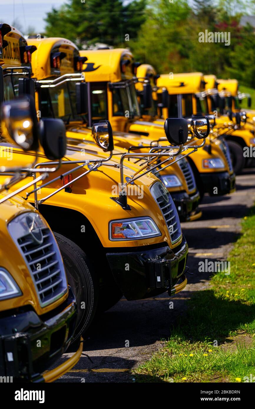 Mohnton, PA / USA - May 2, 2020: A line of parked school buses in a ...