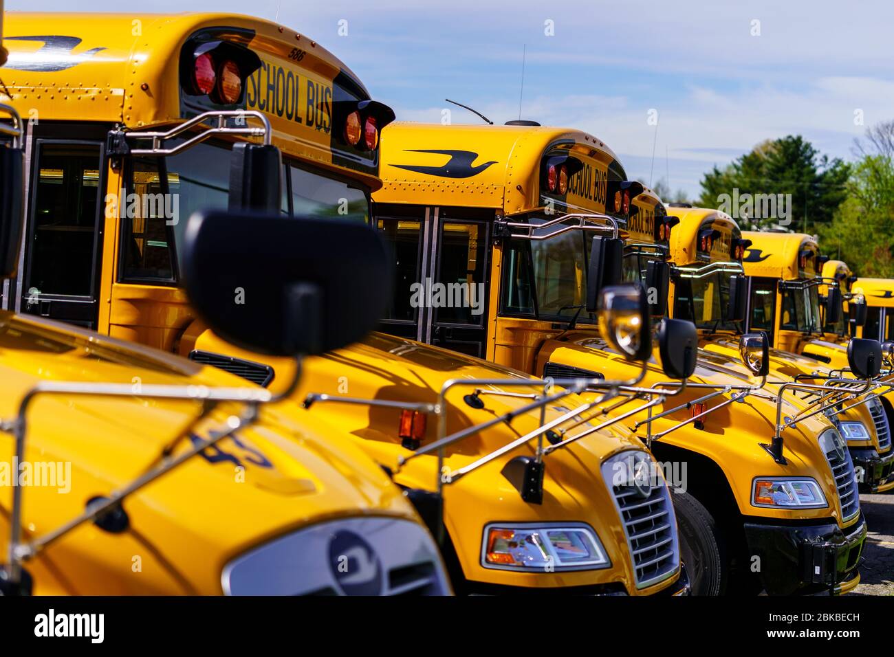 School buses line hi-res stock photography and images - Alamy