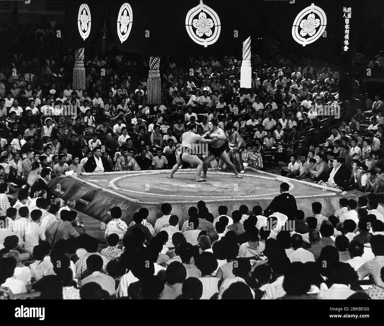 Sumo Black and White Stock Photos & Images - Alamy