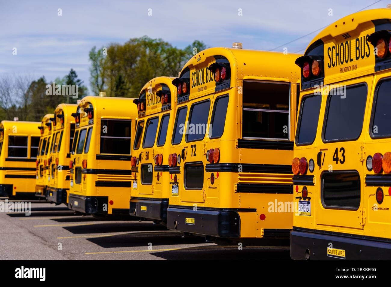 American school bus rear view hi-res stock photography and images - Alamy