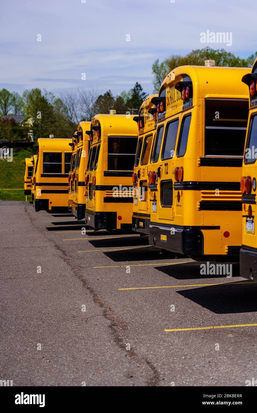 Mohnton, PA / USA - May 2, 2020: A rear view of a line of parked school ...