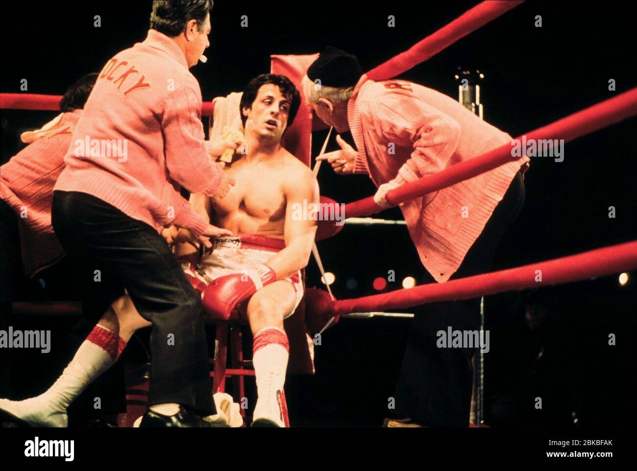 Rocky The Boxer High Resolution Stock Photography and Images - Alamy