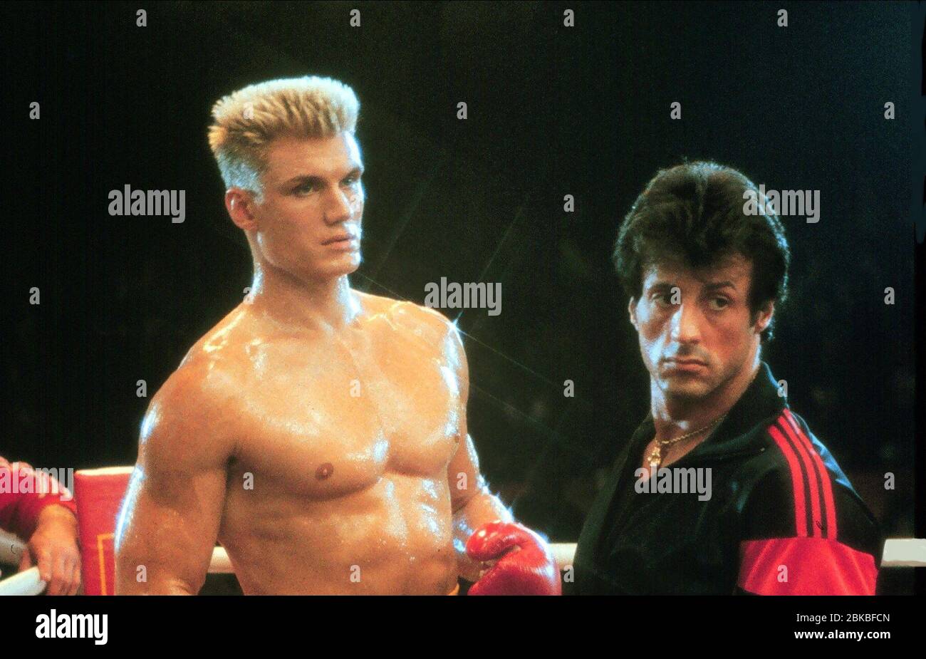 Dolph Lundgren 1985 High Resolution Stock Photography and Images - Alamy