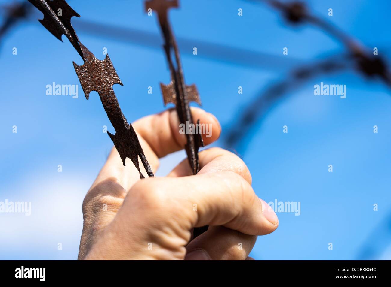 Hand with barbed wire hi-res stock photography and images - Alamy