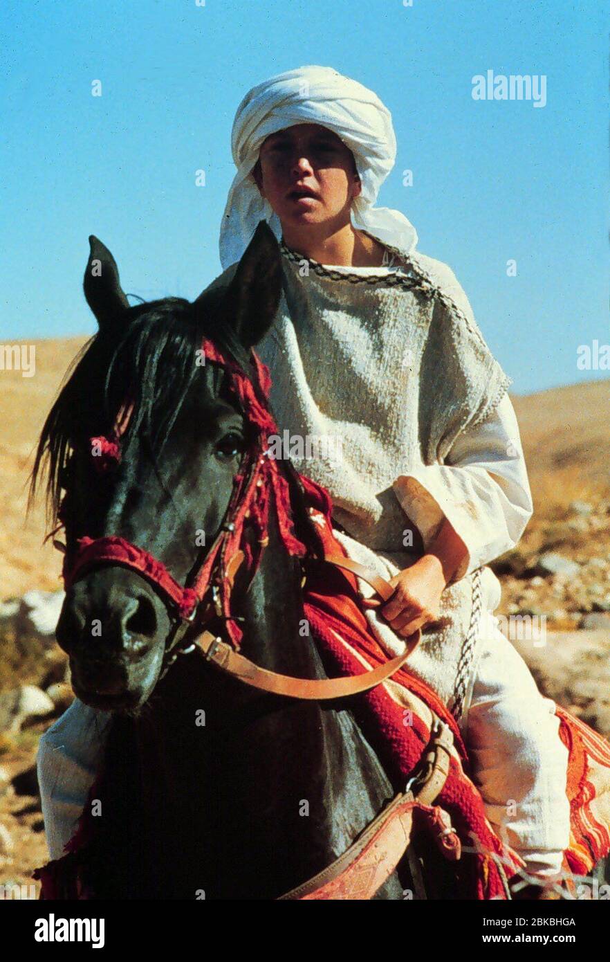 Kelly Reno High Resolution Stock Photography and Images - Alamy