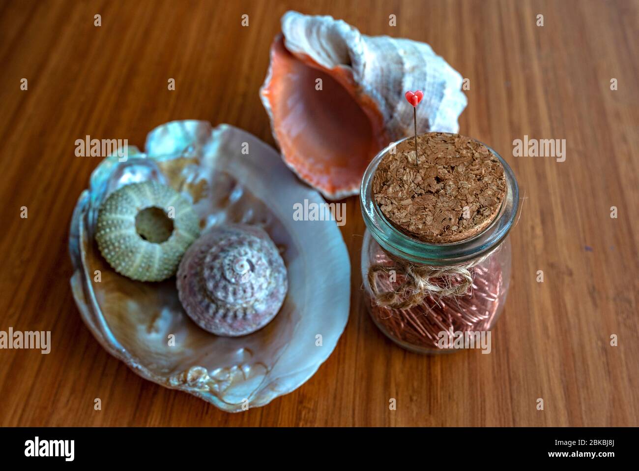 different composition created with decorative sea shells Stock Photo ...