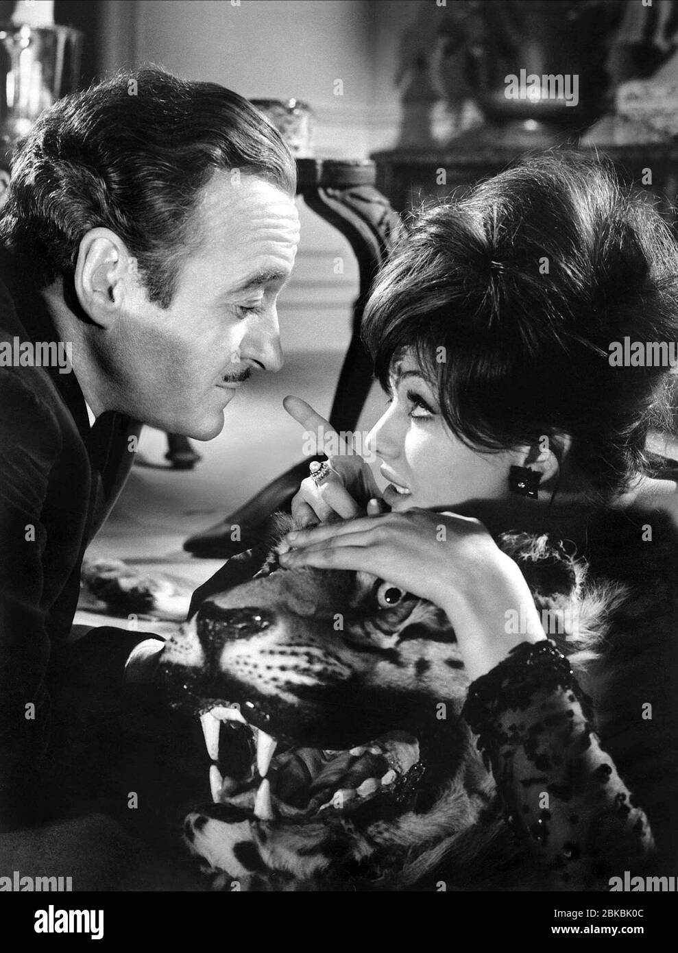 Claudia Cardinale Pink Panther 1963 High Resolution Stock Photography ...