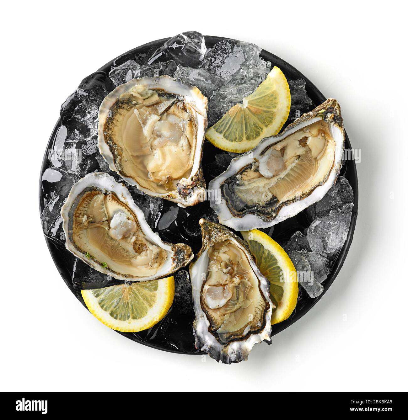 plate of fresh raw oysters isolated on white background, top view Stock ...