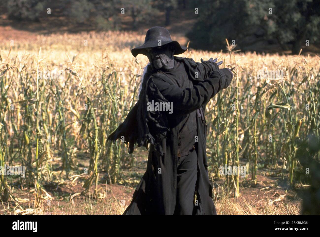 Jeepers Creepers Ii High Resolution Stock Photography and Images - Alamy
