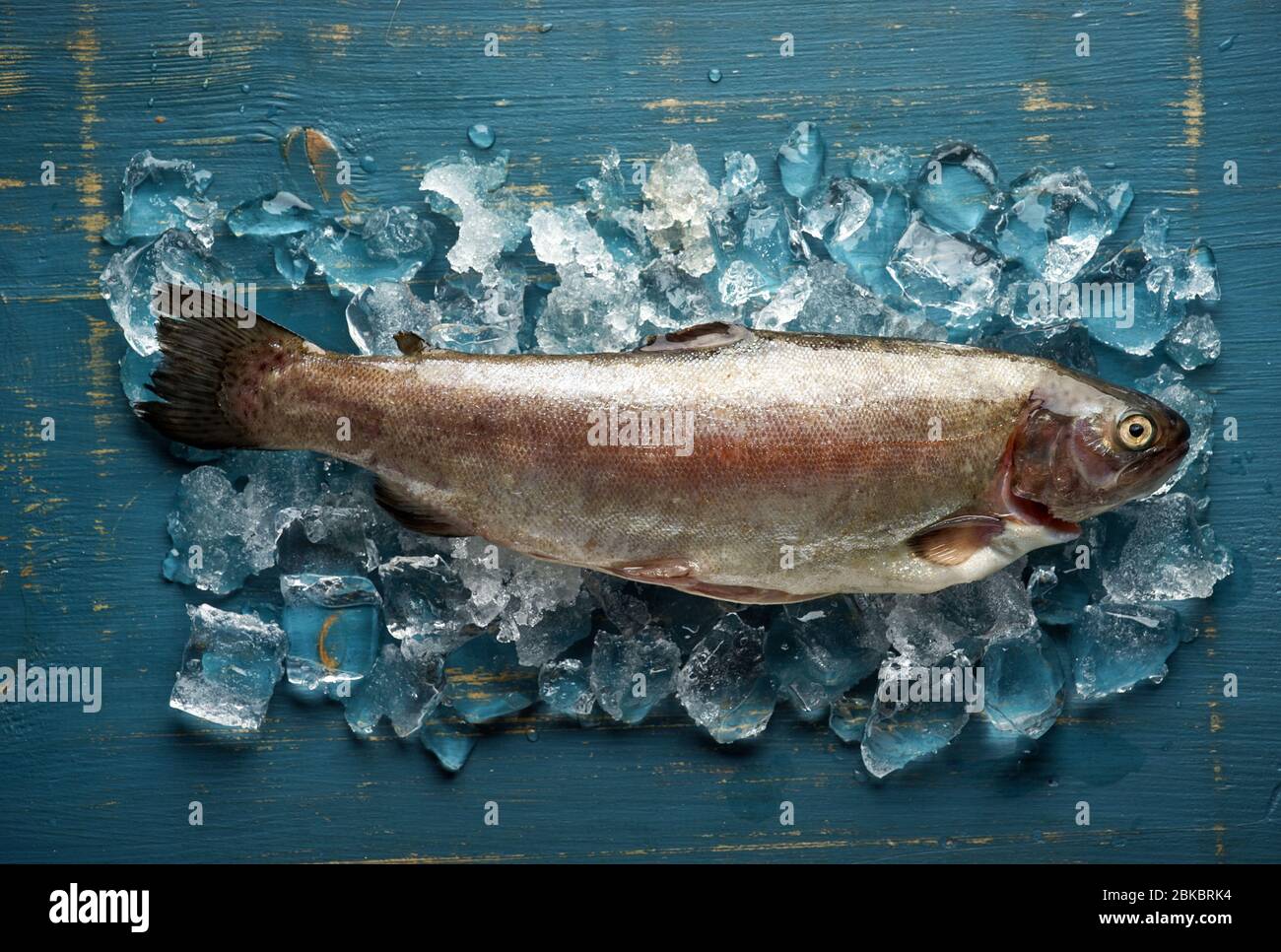 fresh raw fish on ice, top view Stock Photo - Alamy