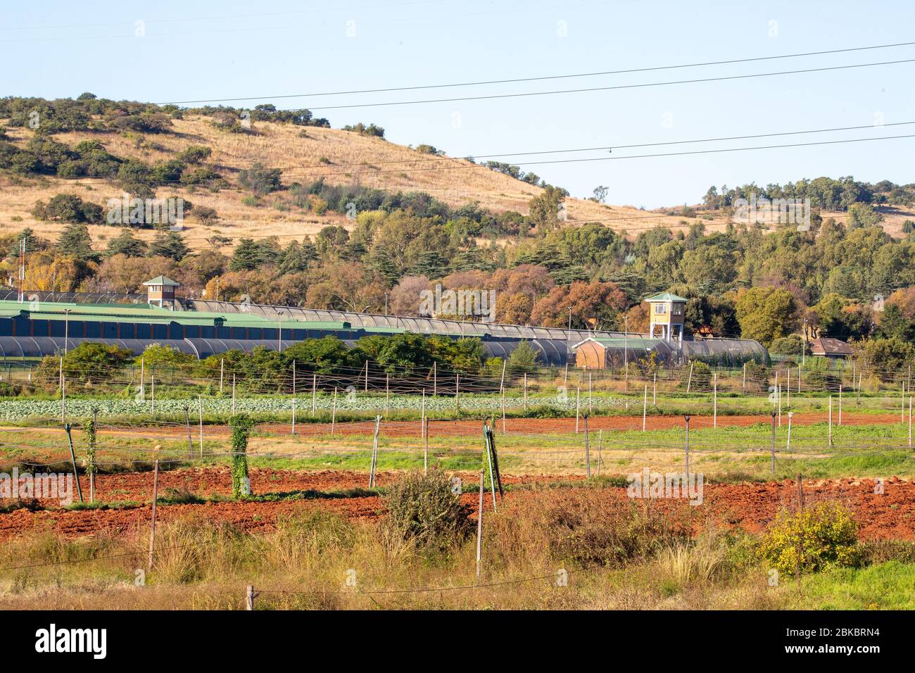 Atteridgeville hi-res stock photography and images - Alamy