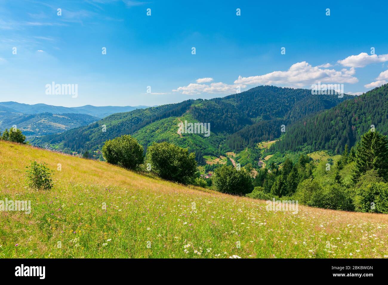 fields and meadows of rural landscape in summer. idyllic mountain ...