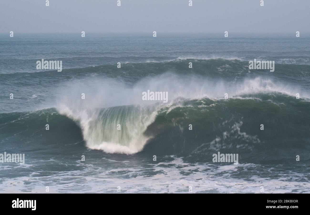 Cribber reef hi-res stock photography and images - Alamy