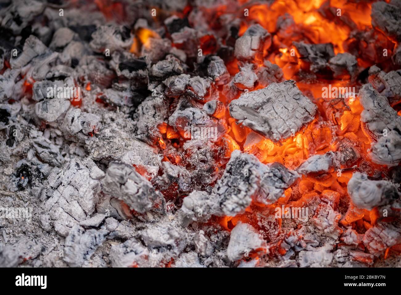 Selective focus firewood burning hi-res stock photography and images ...