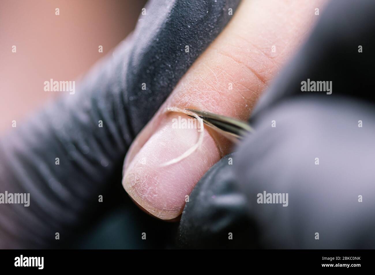 Female removing debris cleaning hi-res stock photography and images - Alamy