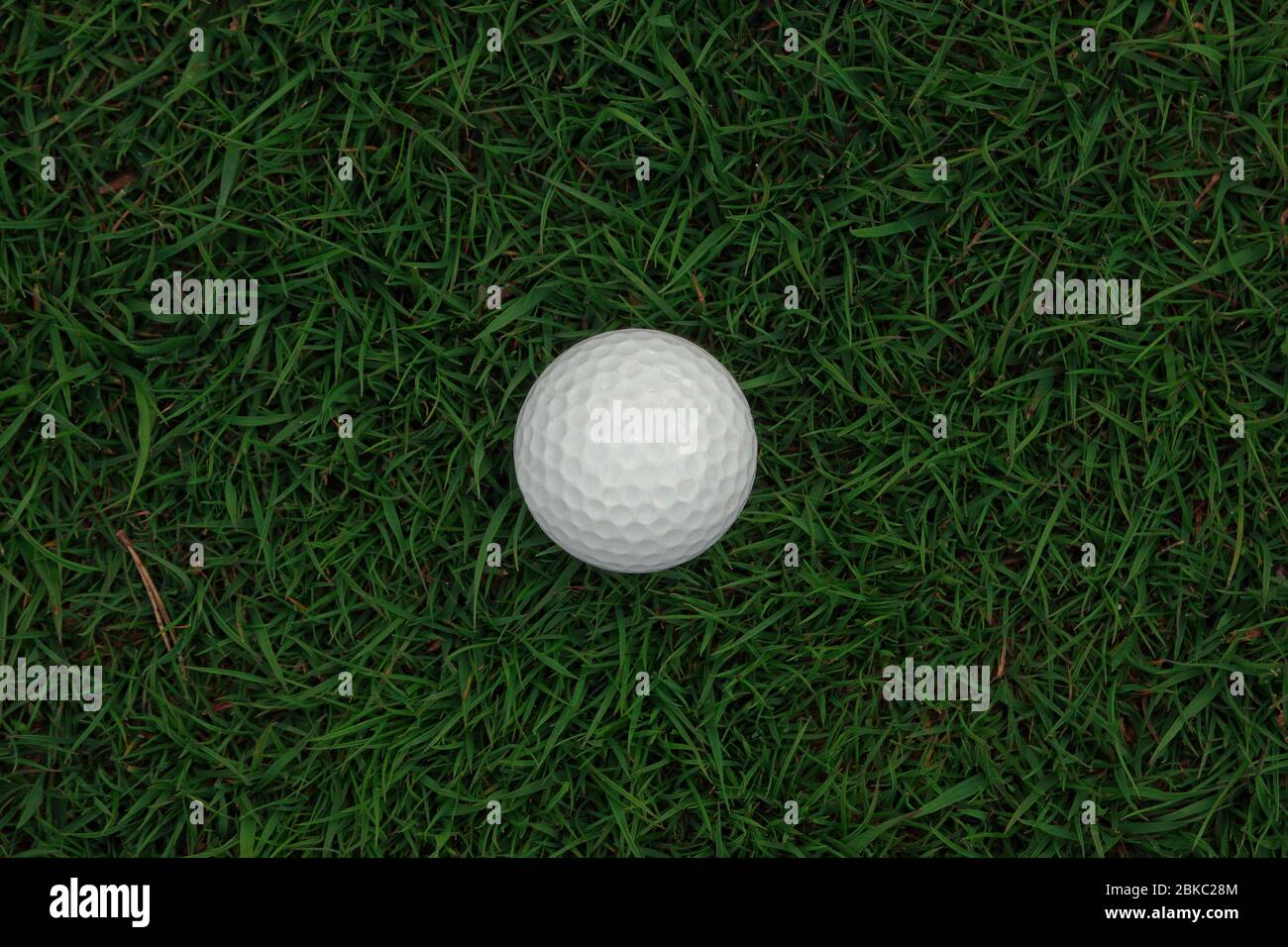 Top view of a golf ball lying on green grass Stock Photo - Alamy