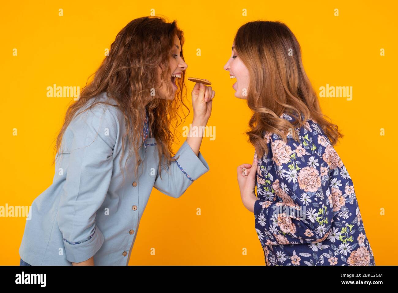 Two funny female friends or sisters eating sharing cookie on yellow ...