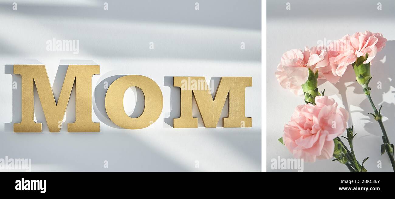 collage of pink carnations and mom lettering on white background with ...