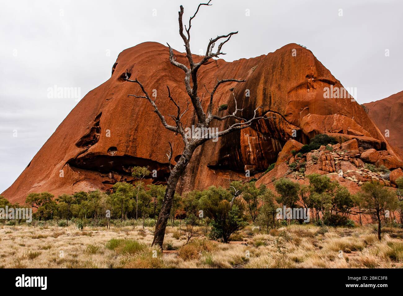 Sedimentary outcrops at the foot of Uluru-Ayers Rock Stock Photo - Alamy