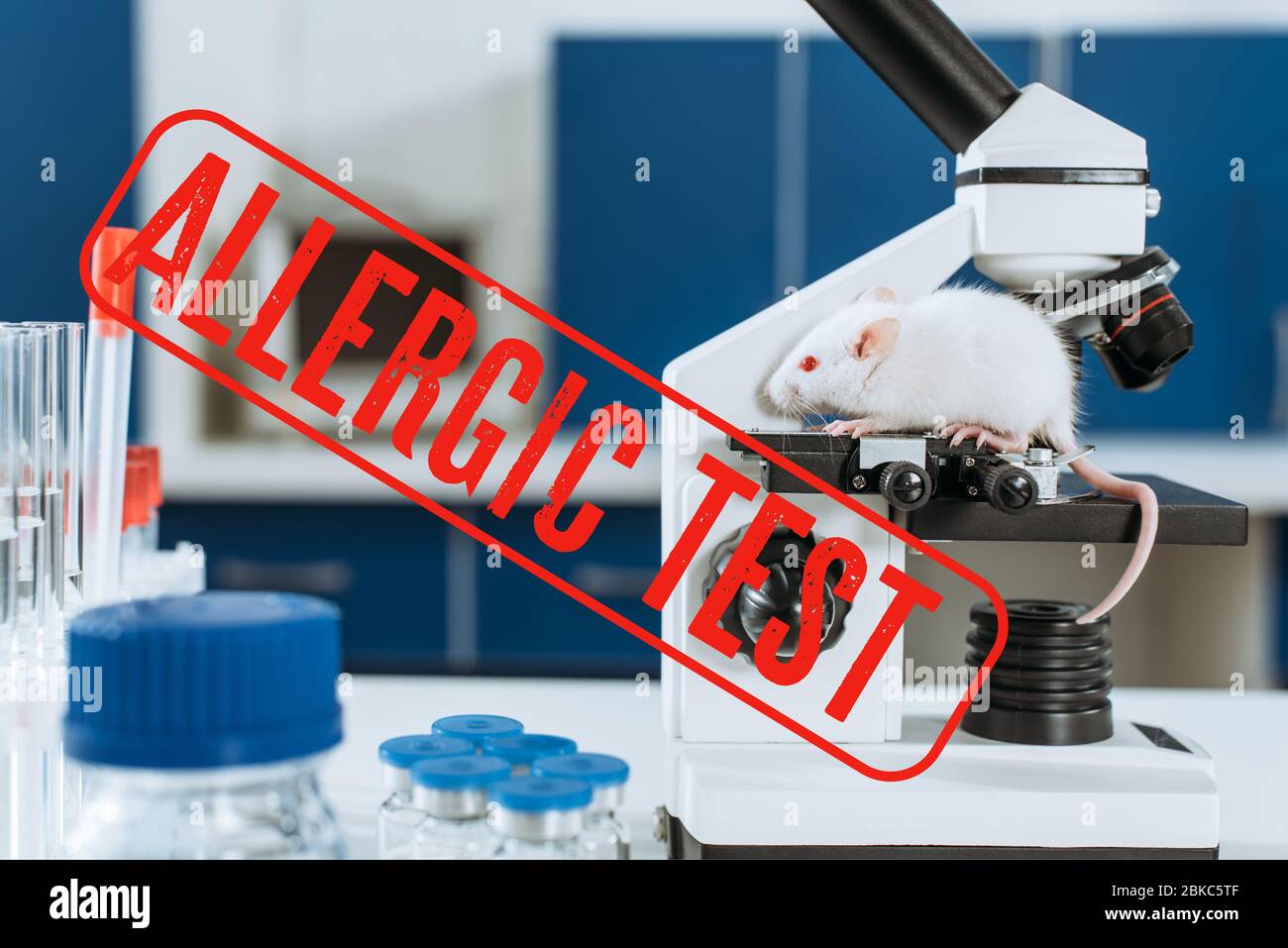 white mouse on microscope near test tubes and containers with medicines ...