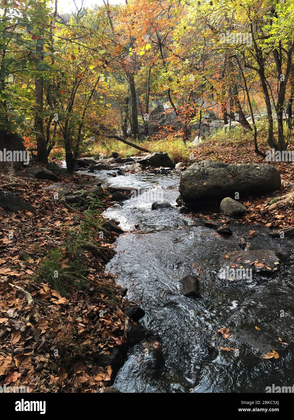 Winding stream hi-res stock photography and images - Alamy