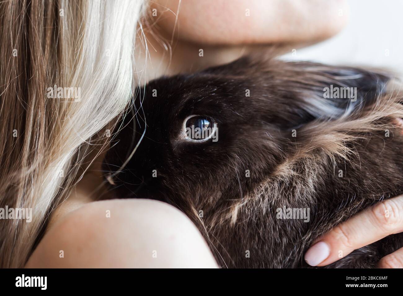 Pet and Easter concept - Attractive girl hugging brown rabbit at home ...