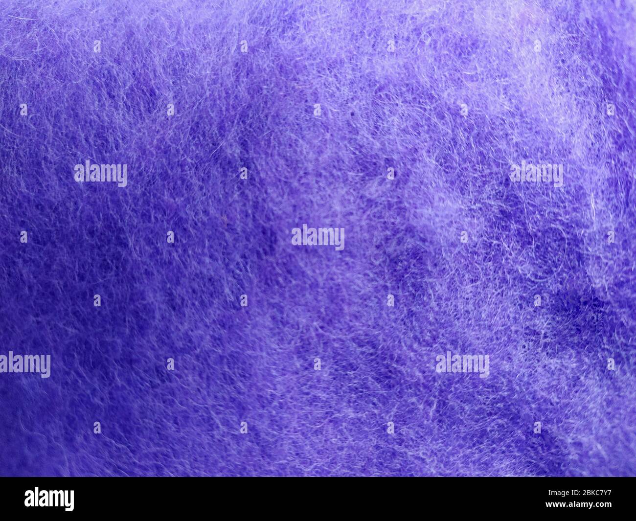 carded wool for felting, clothing production Stock Photo - Alamy