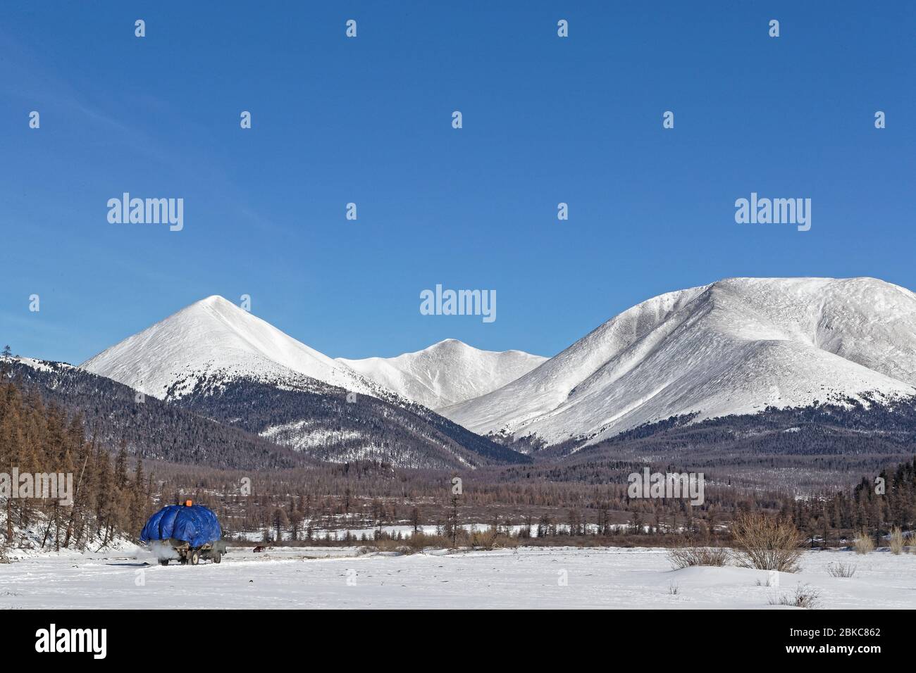 Province of khovsgol mongolia hi-res stock photography and images - Alamy