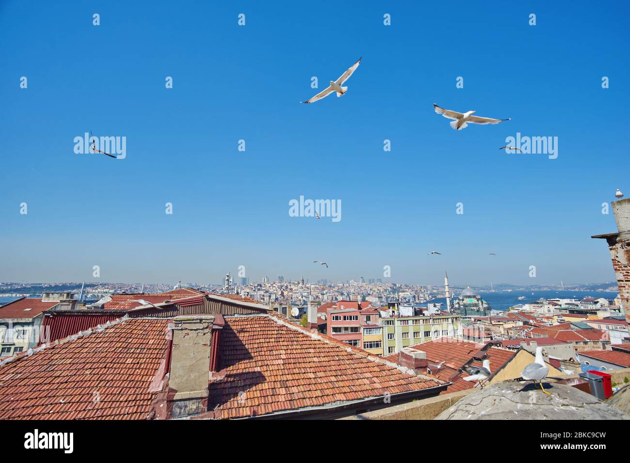 Astonishing view of Istanbul. Beautiful view of historic center of ...