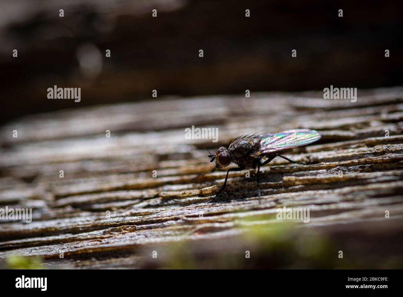 Sitting 4k hi-res stock photography and images - Alamy