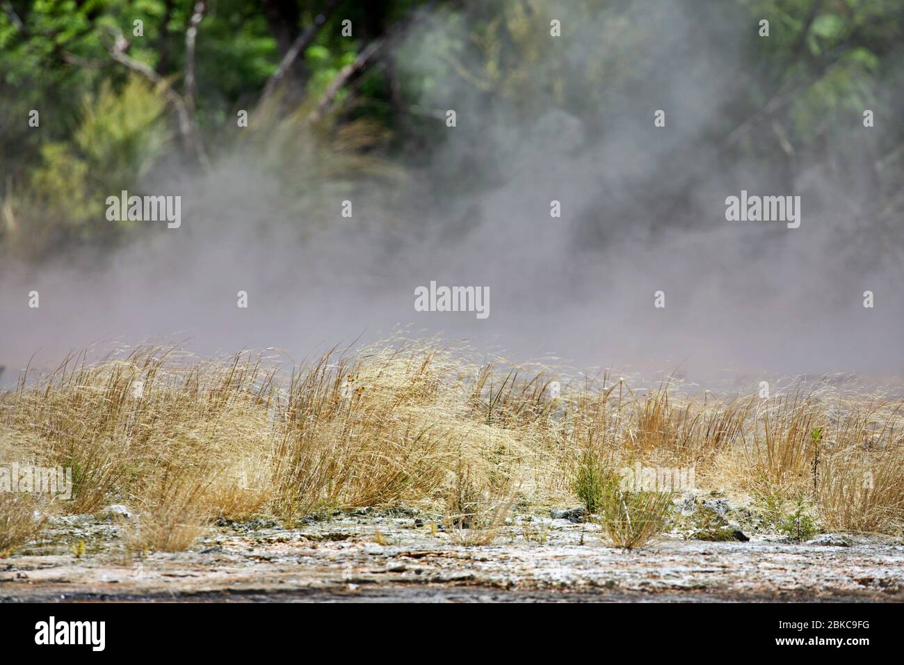 Thermal smoke hi-res stock photography and images - Alamy