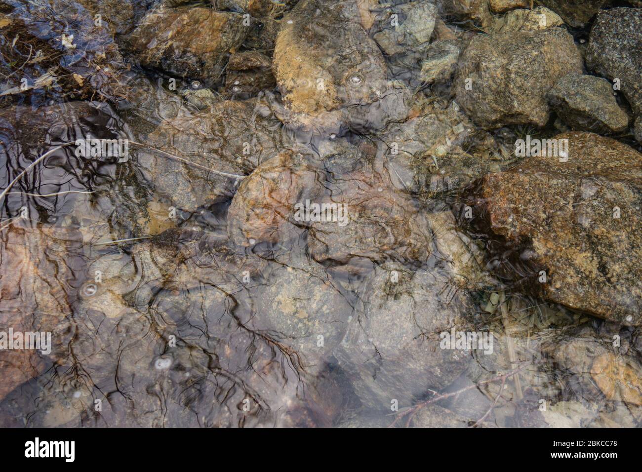 Rugged river bottom hi-res stock photography and images - Alamy