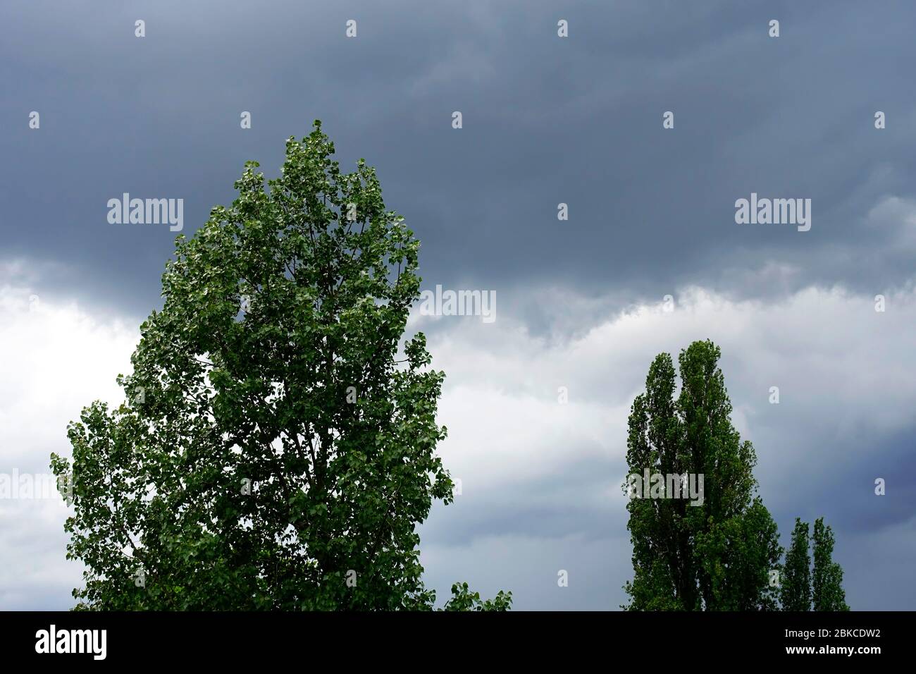 Wet stormy monsoon weather severe hi-res stock photography and images ...
