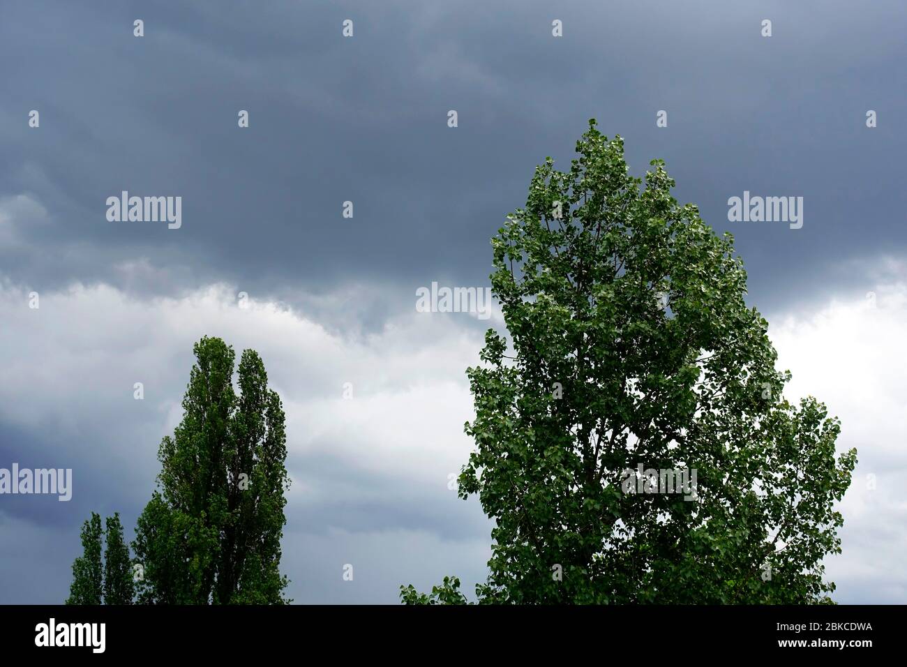 Germany dwd hi-res stock photography and images - Alamy
