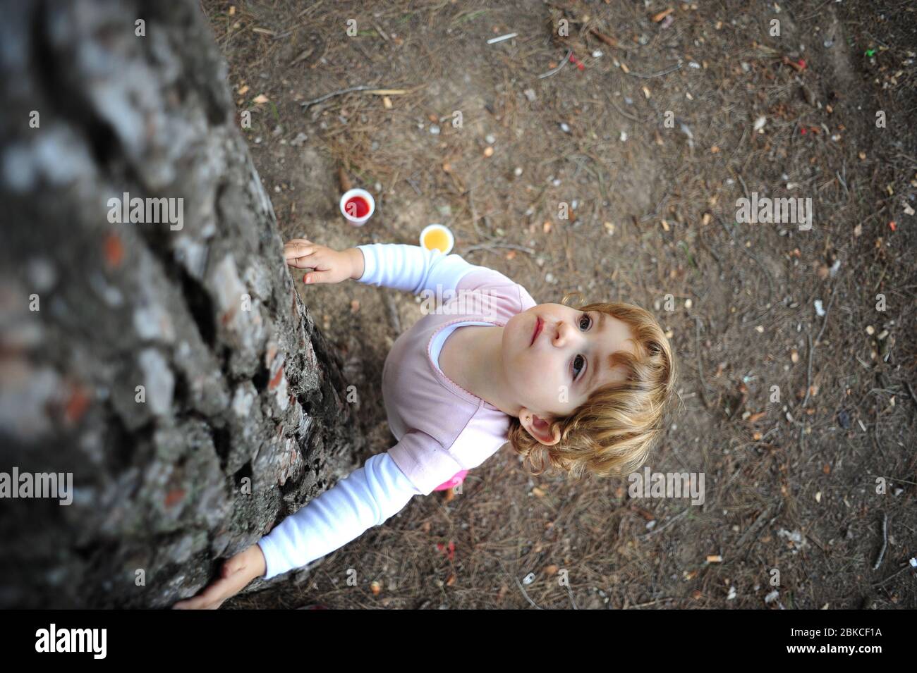 Little girl next to tree touching trunk with hands Stock Photo - Alamy