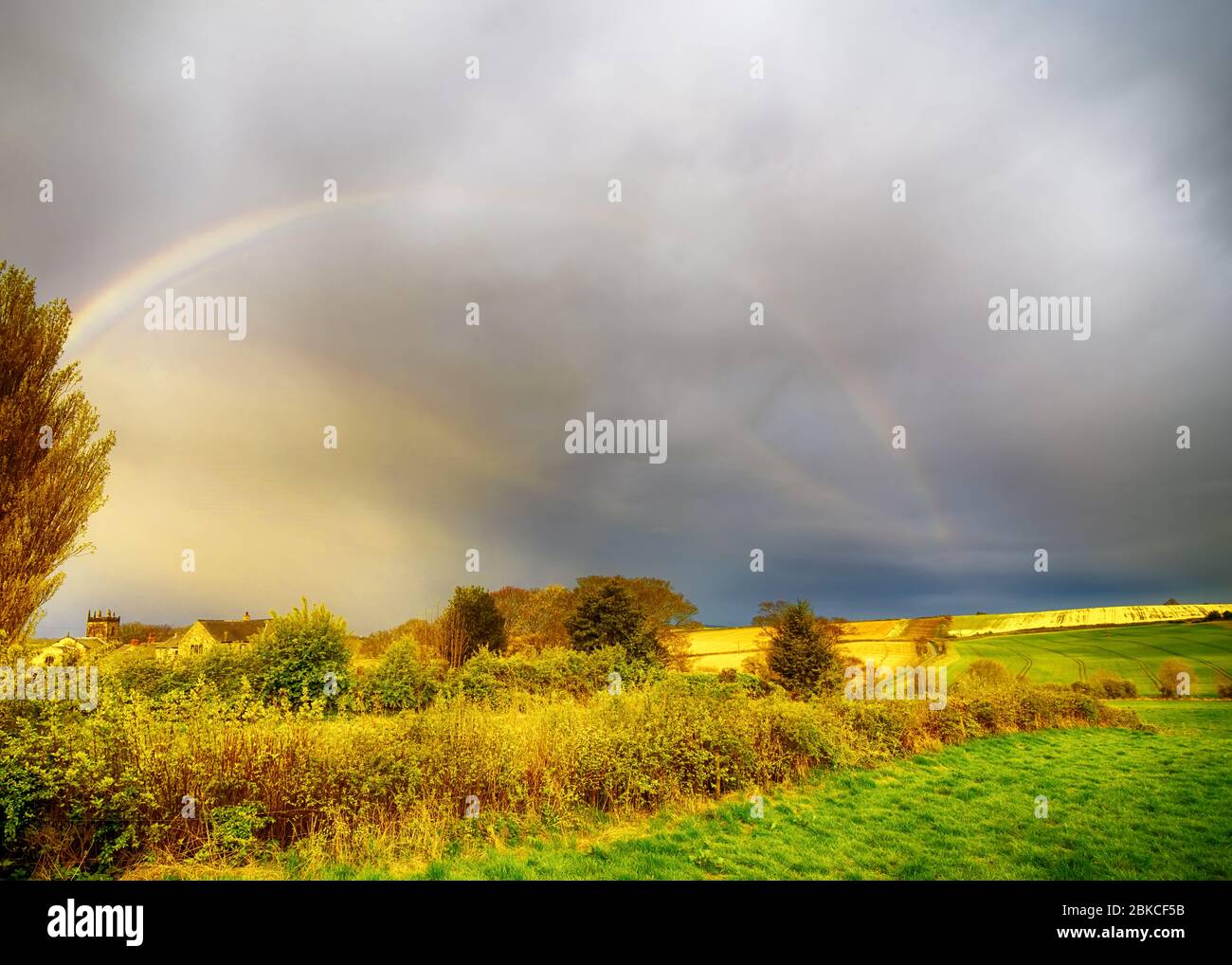 Trees, yellow and green fields and rainbow over them in early spring ...