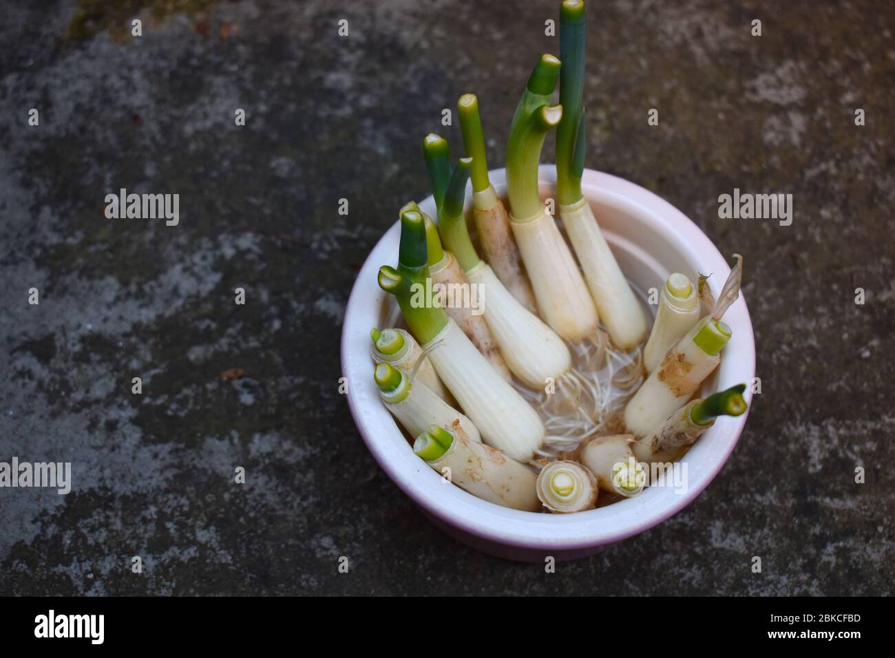 Root vegetables fridge hi-res stock photography and images - Alamy