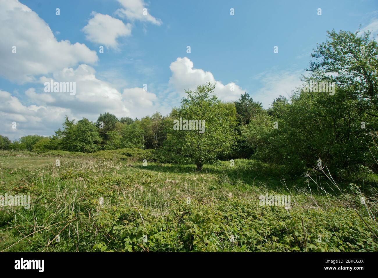 River alt merseyside hi-res stock photography and images - Alamy