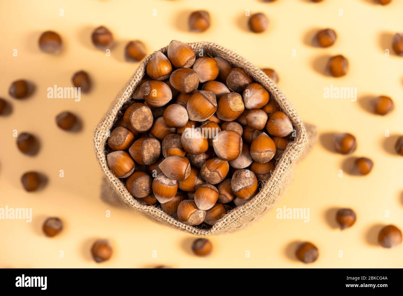 Hazelnuts in burlap sack on yellow background. Shelled, raw and ...