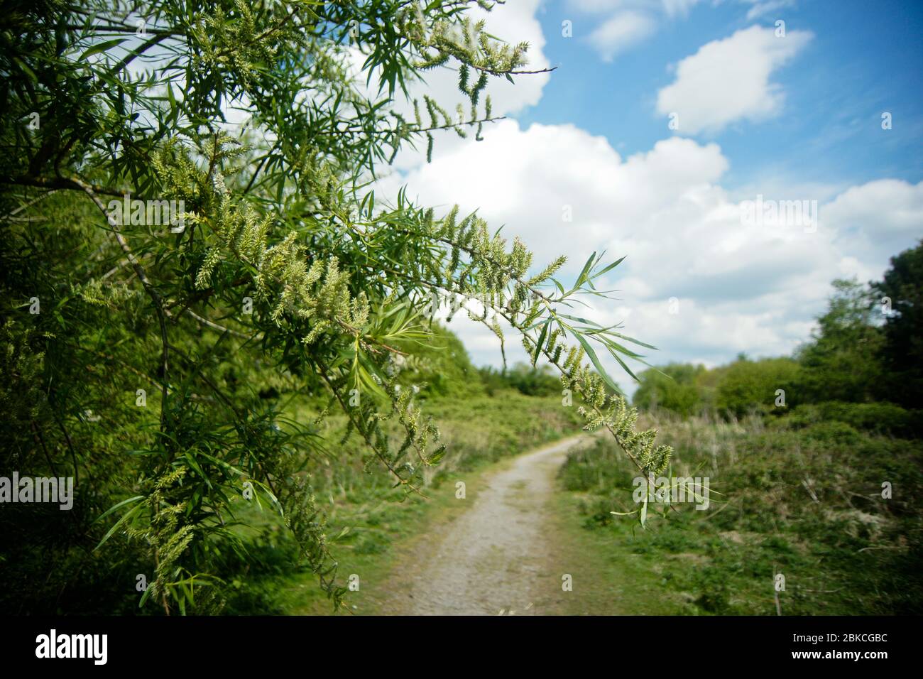River alt merseyside hi-res stock photography and images - Alamy