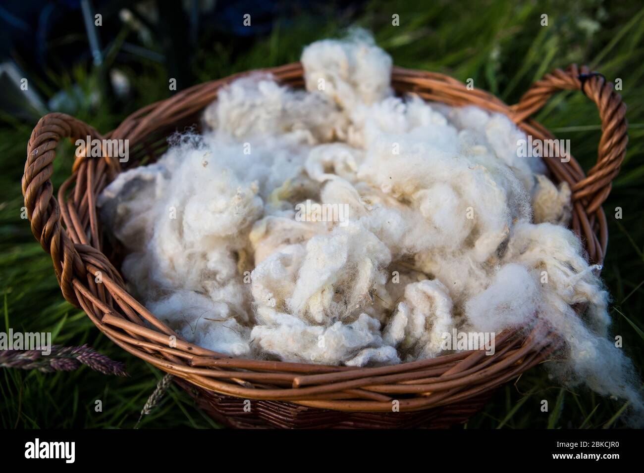 Sheeps fleece hi-res stock photography and images - Alamy