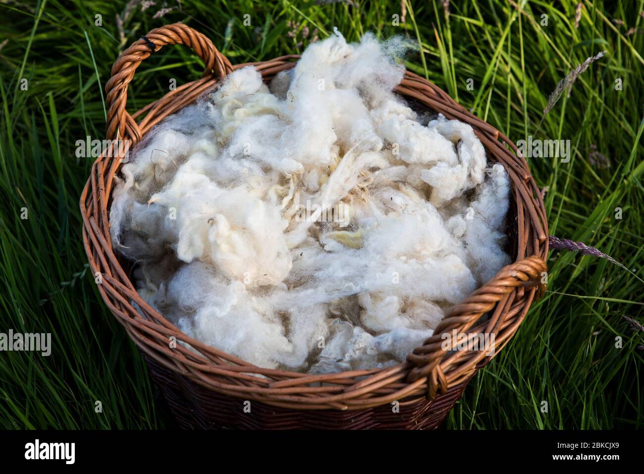 Sheeps fleece hi-res stock photography and images - Alamy