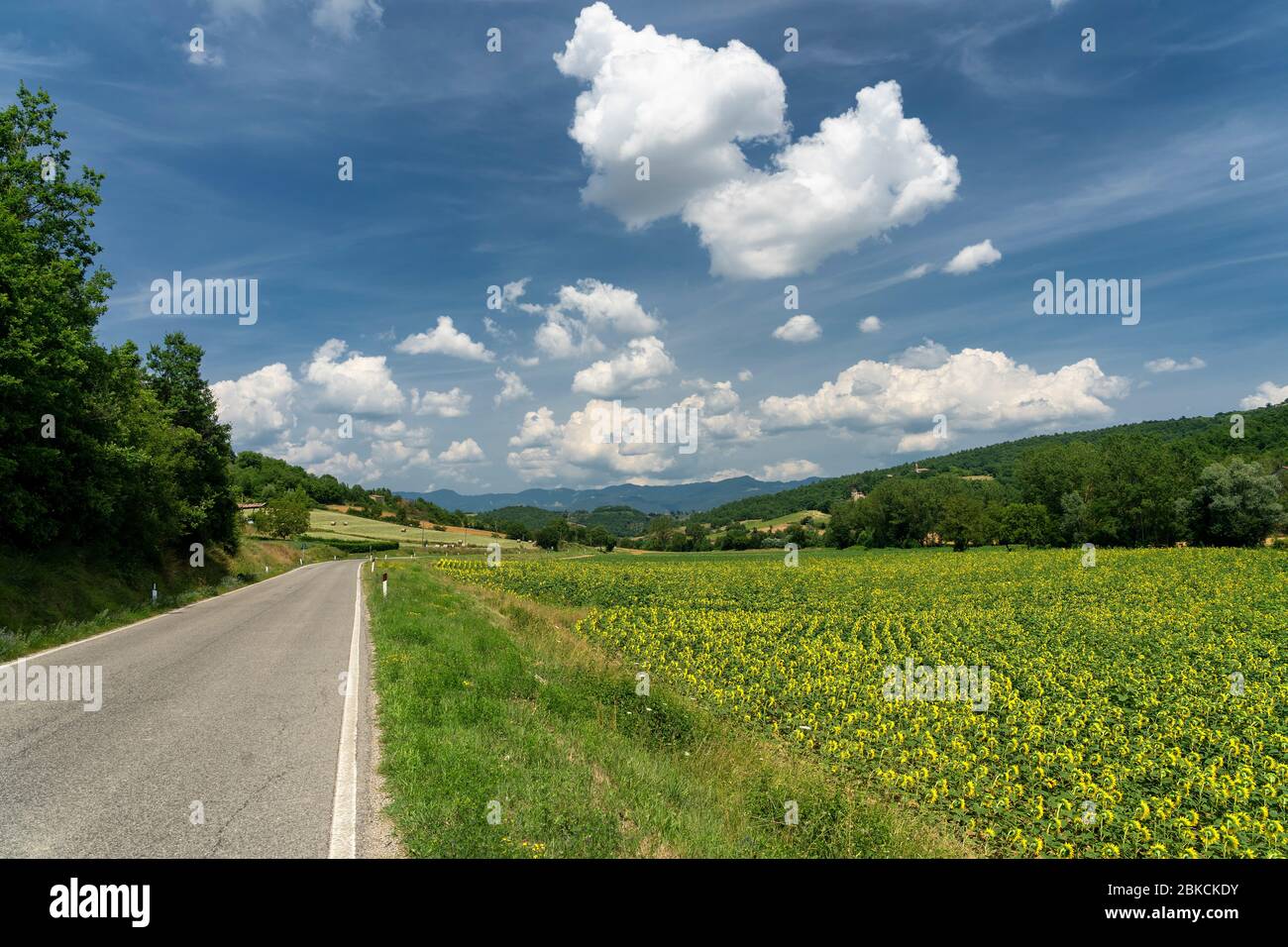 Summer landscape near Lippiano, Perugia, Umbria, Italy Stock Photo - Alamy
