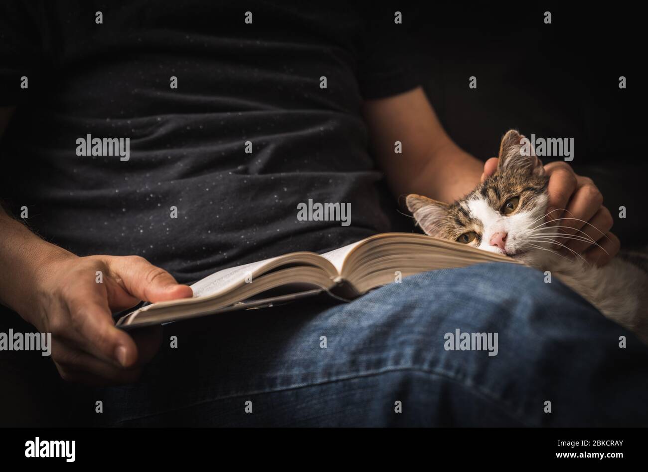 Person relax hi-res stock photography and images - Alamy