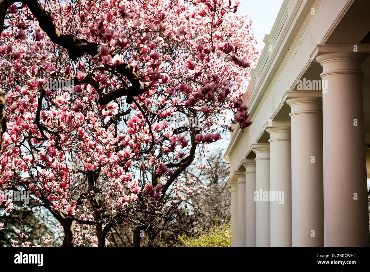 West wing colonnade hi-res stock photography and images - Alamy