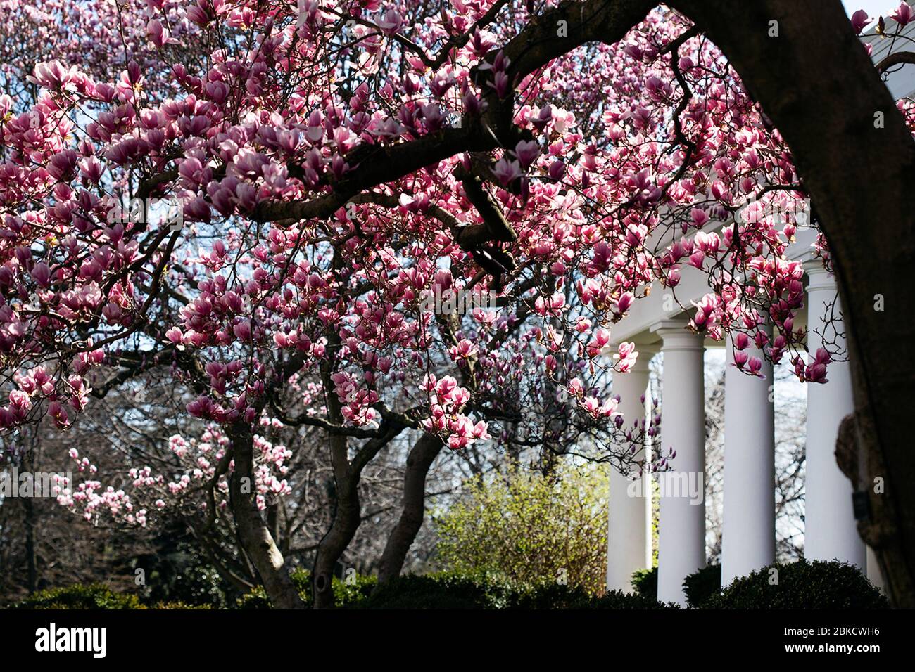 West wing colonnade hi-res stock photography and images - Alamy