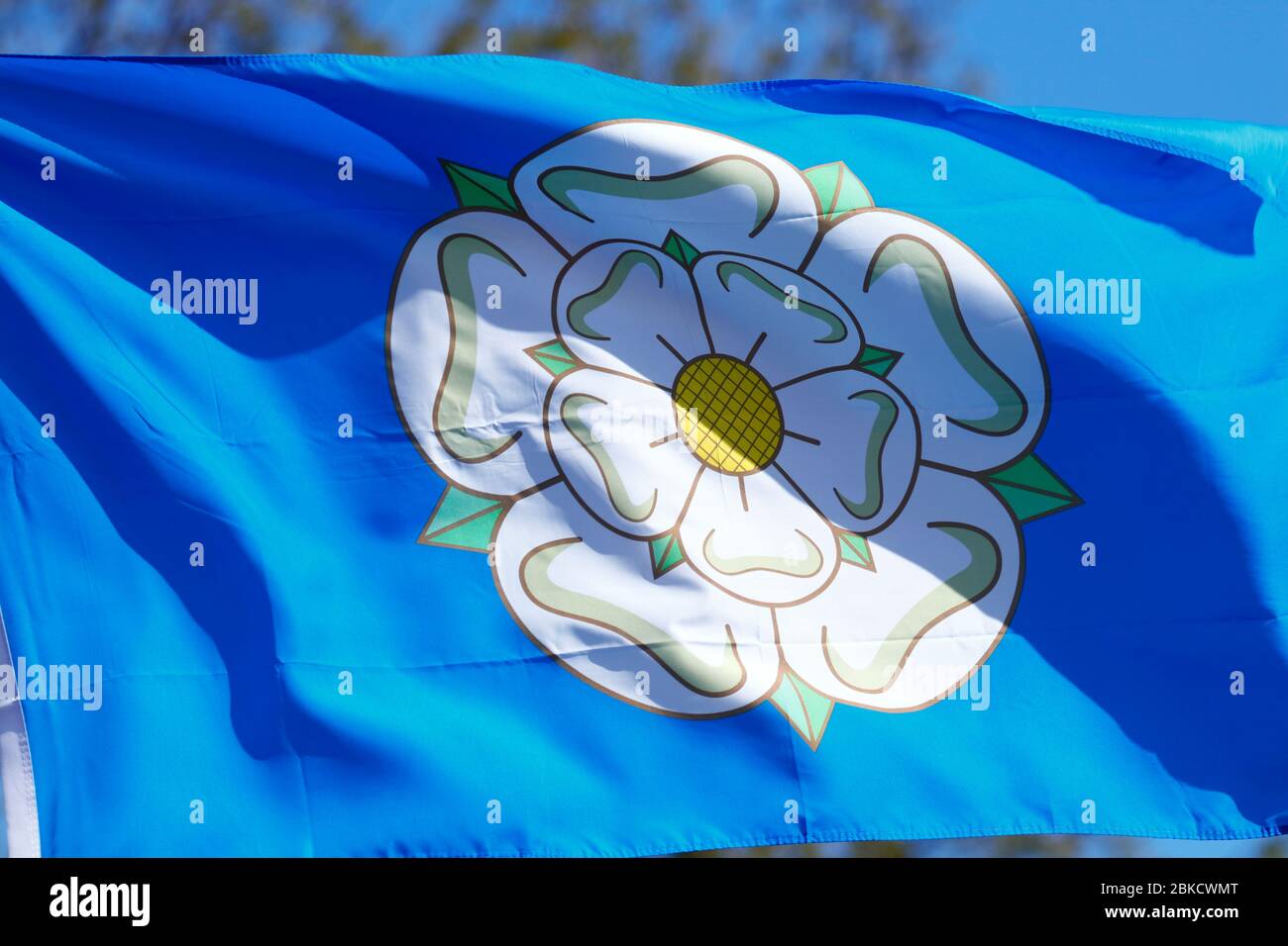 The Yorkshire Flag Stock Photo - Alamy