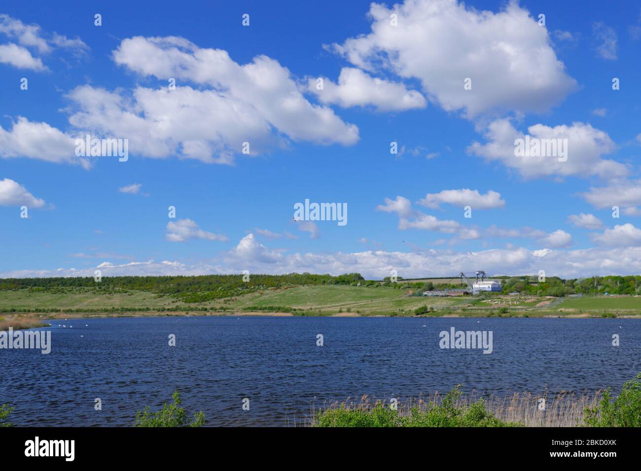 RSPB St aidan's Country Park in Swillington,Leeds. The home of 'Oddball ...